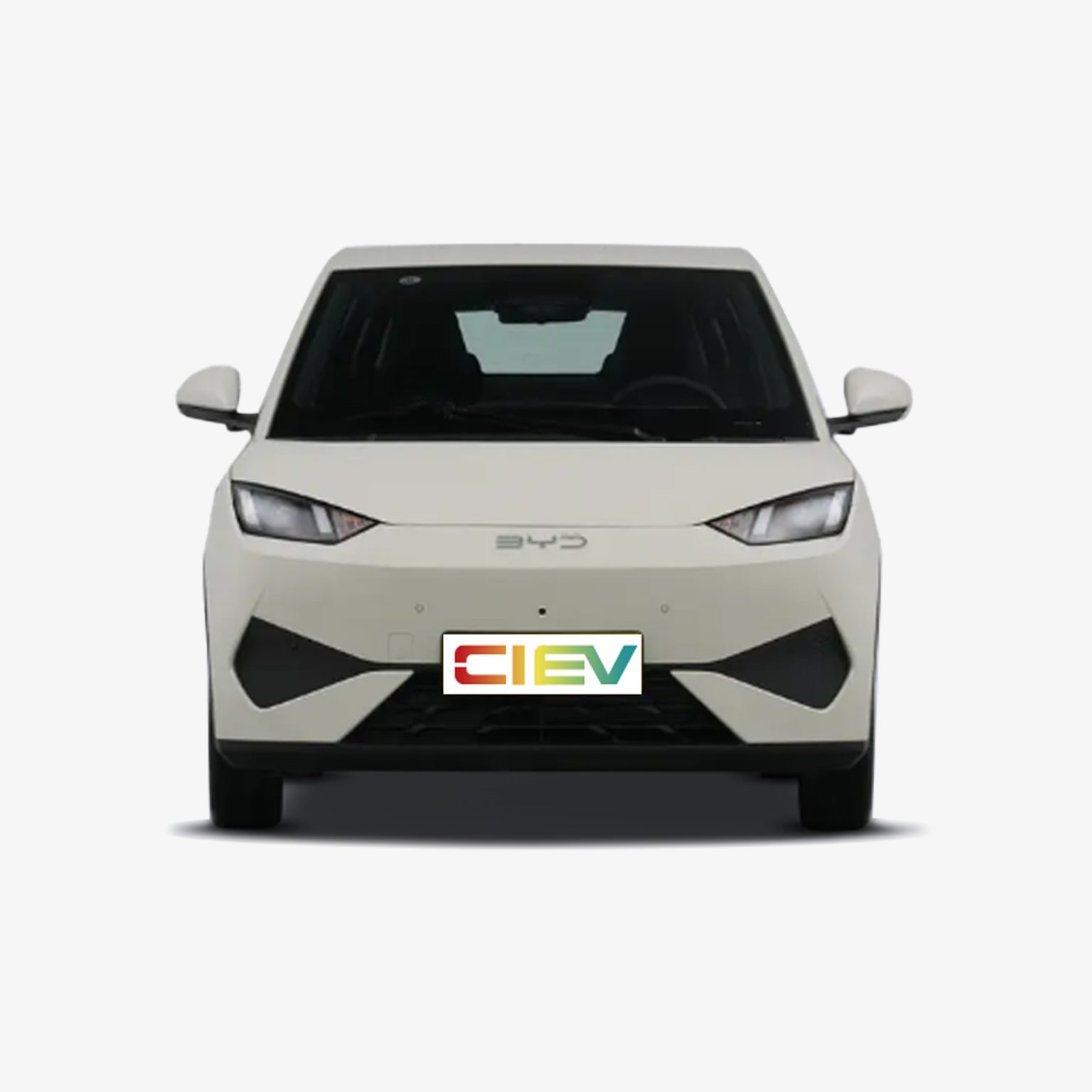 China Intelligent Electric Vehicles - Global digital automotive trading ...